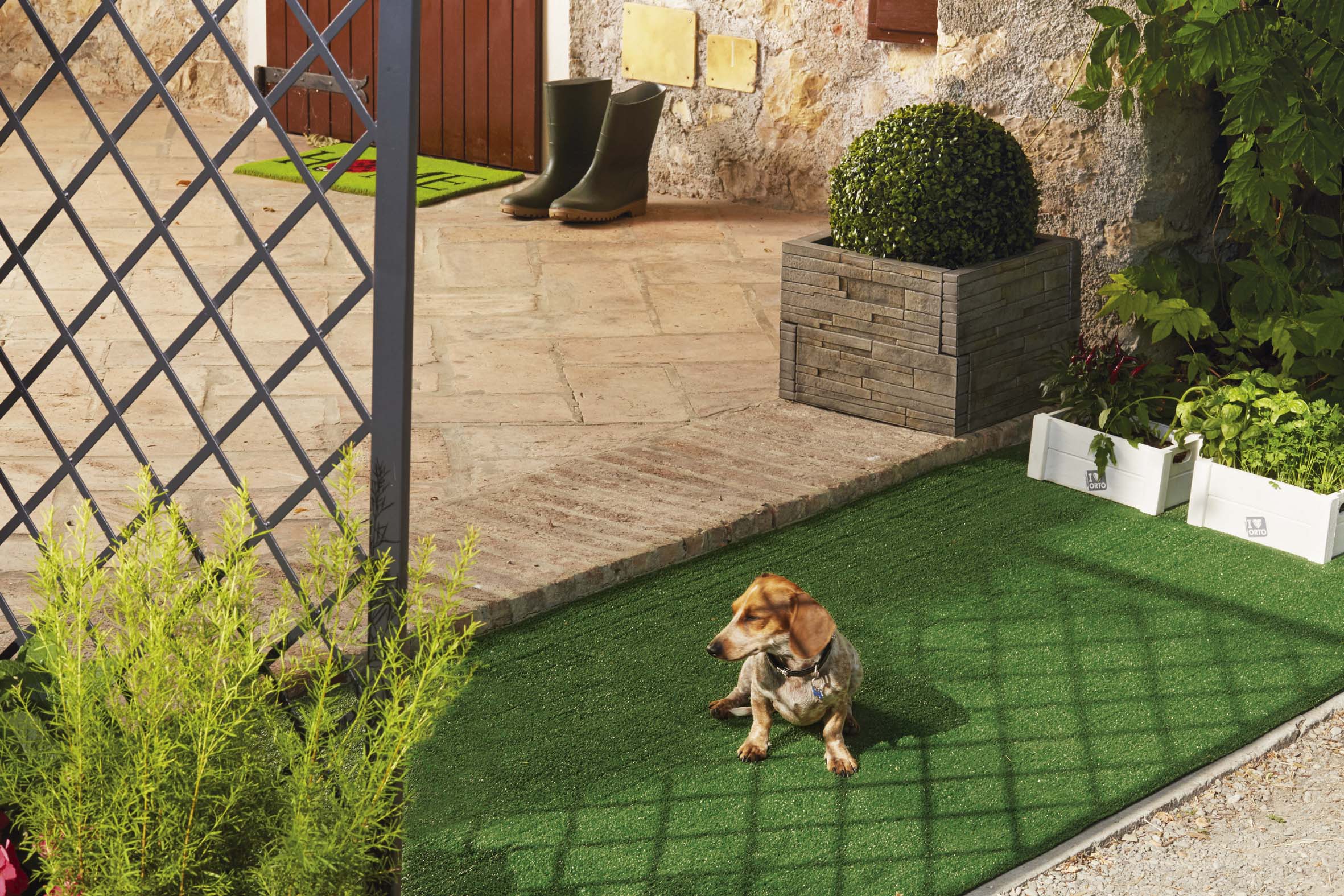 Le novità del 2017 per gli amanti del verde - Mondopratico.it