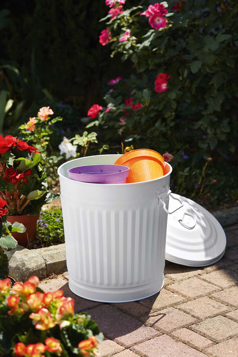 Le novità del 2017 per gli amanti del verde - Mondopratico.it